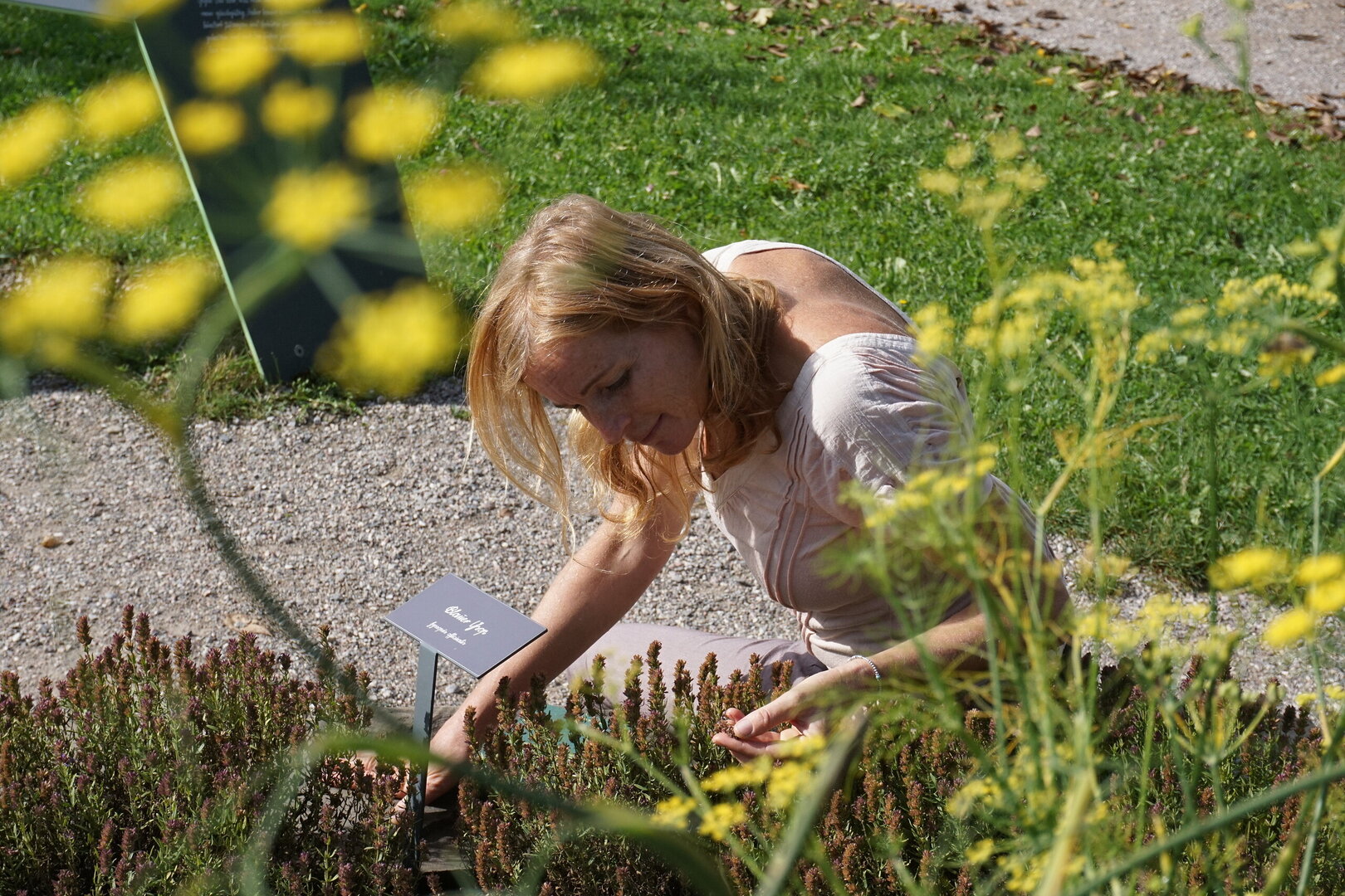 Hopfen am See - Füssen im Allgäu